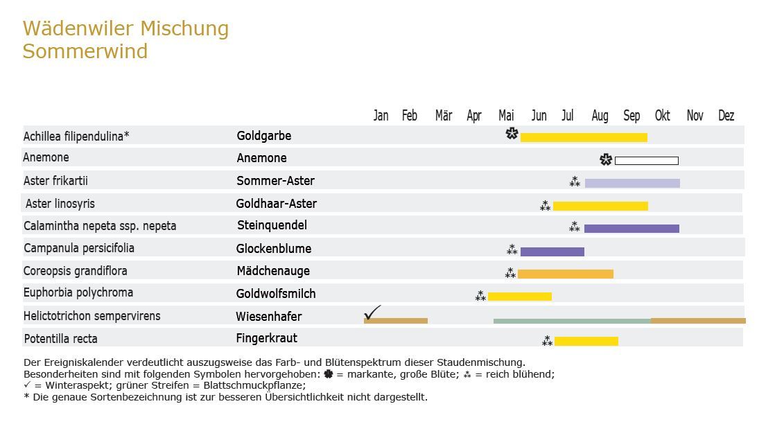 Sommerwind - Staudenmischpflanzung als Fertigmischung vorgemischt | STM604