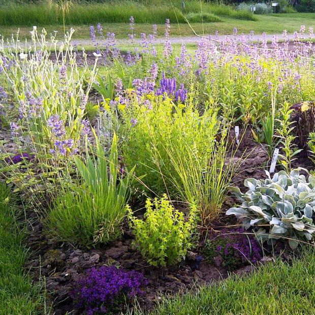Entdecken Sie unsere große Auswahl an pflanzfertig vorgemischten und ...