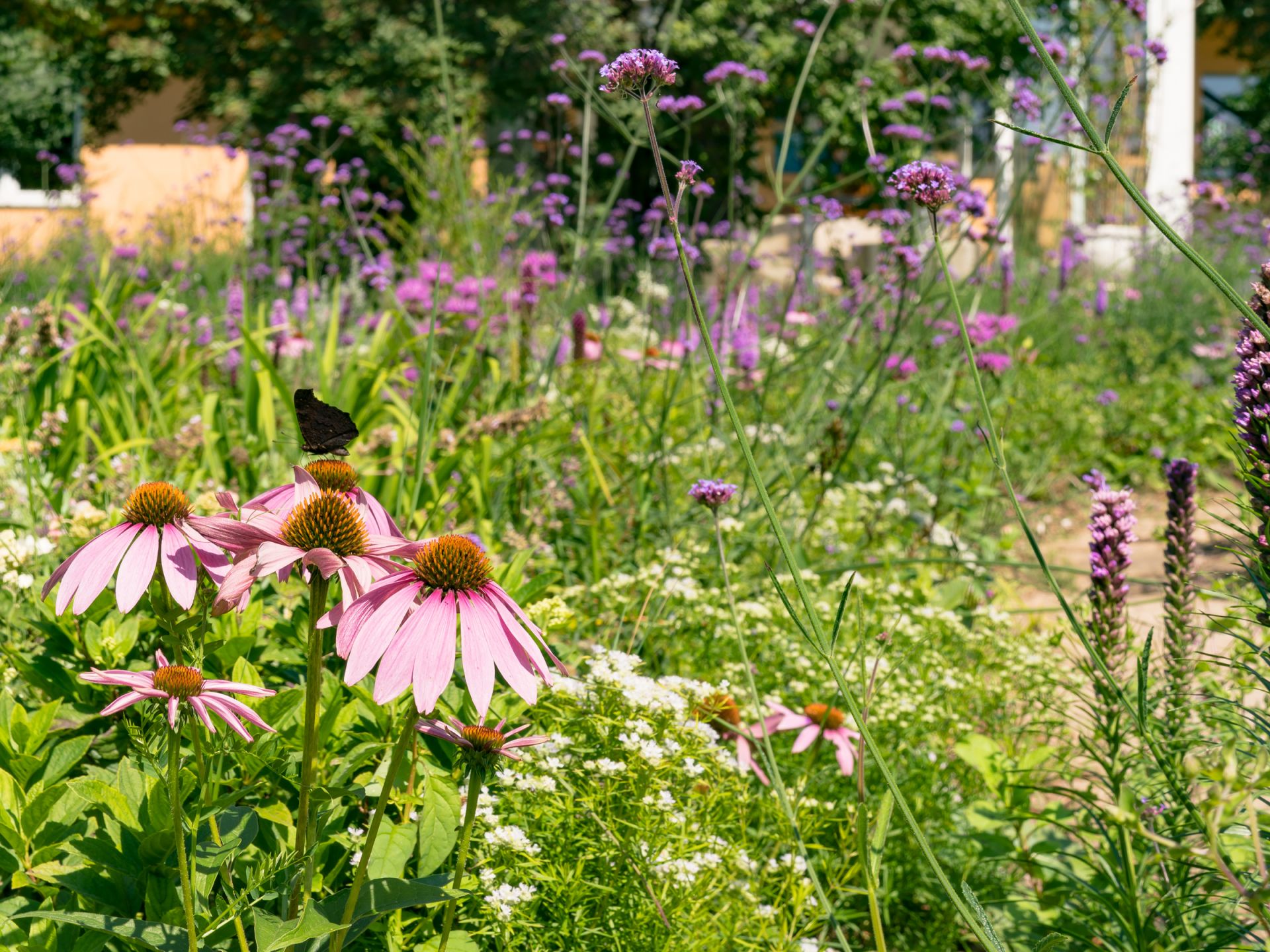 Staudenbeete anlegen - einfach und dauerhaft